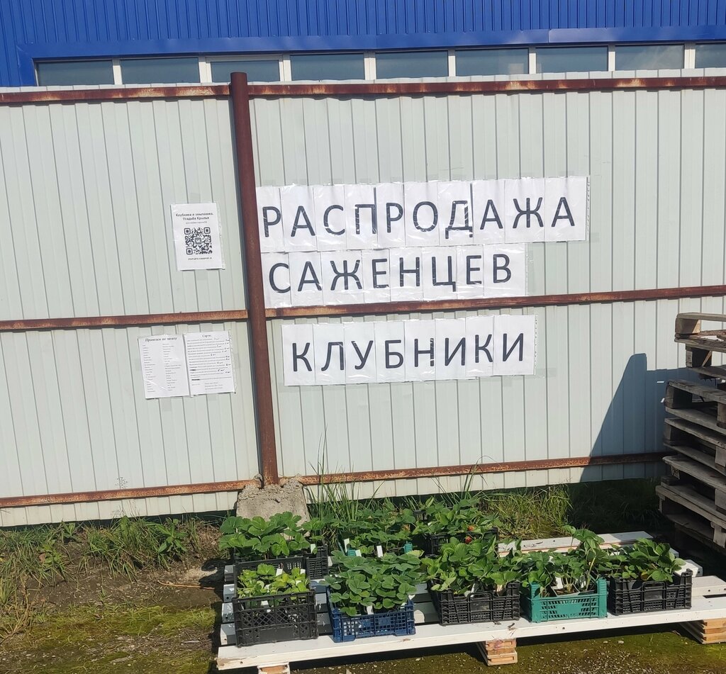 Teslimat noktası Усадьба Крылья, Perm, foto