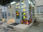 Табак (Engelsa Avenue No:111к1), tütün, sigara mağazaları  Saint‑Petersburg'dan