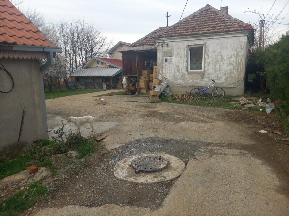 Dernekler, birlikler Адлигат, Belgrad, foto