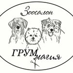 ГрумМагия (Yagodinskaya ulitsa No:25), evcil hayvan kuaförleri  Kazan'dan