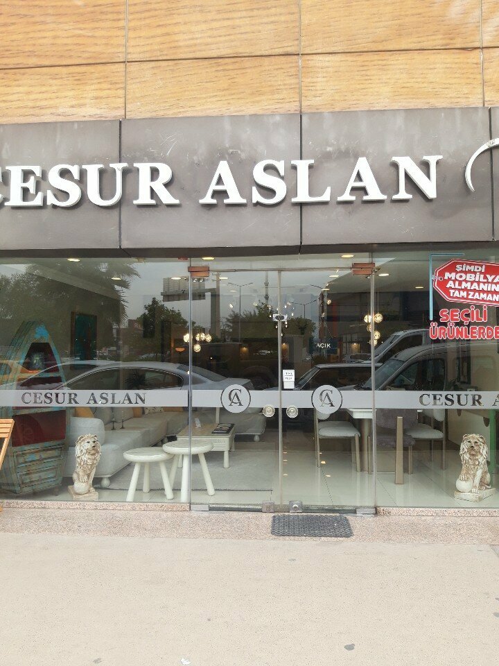 Mobilya mağazaları Cesur Aslan Mobilya, İzmir, foto