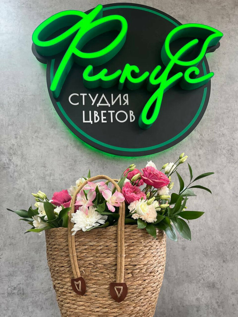 Çiçekçiler Фикус, Belgorodskaya oblastı, foto