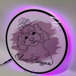 Студия груминга Лола Непудель (ulitsa Baranova No:1), evcil hayvan kuaförleri  Gukovo'dan