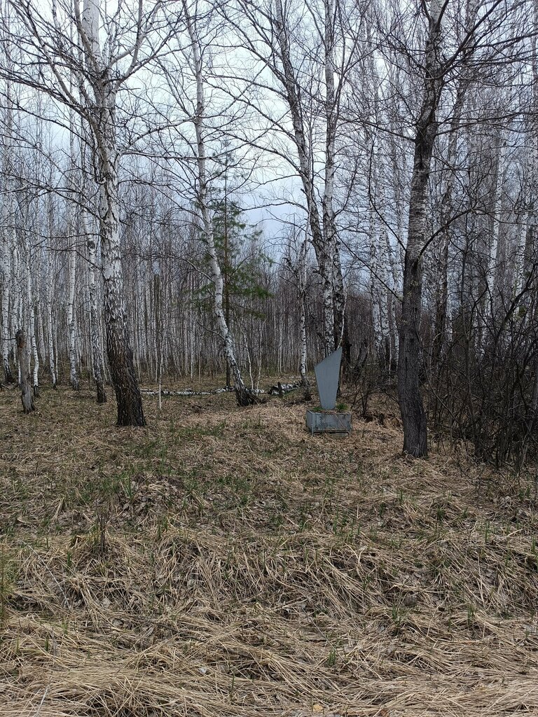 Turistik yerler Место гибели Кувалдина В.И. 1975 г., Kurganskaya oblastı, foto