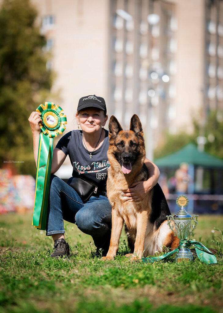 Evcil hayvan yetiştiricileri Дом Шебис, Samara, foto