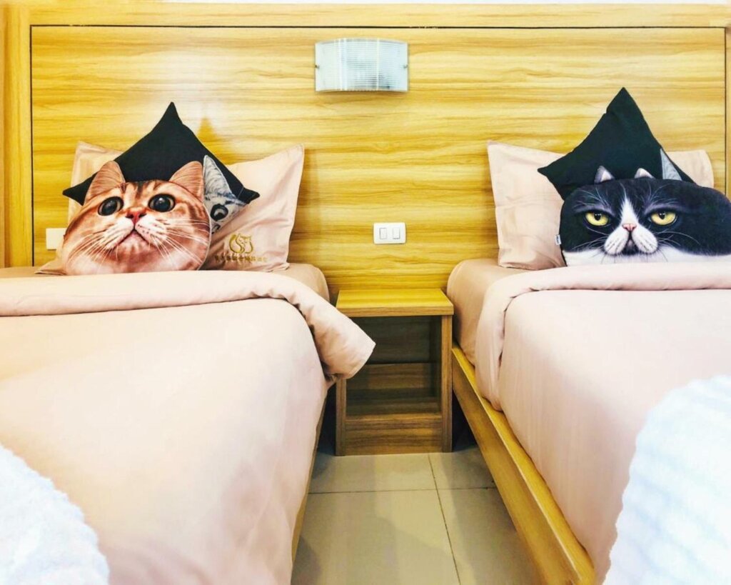 Otel Cat Story Hotel (ex. The Silk View), Phuket Eyaleti, foto