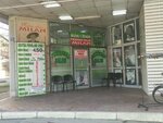 Premium Pet (TC Merkator, Novi Sad), petshop  Novi Sad'dan