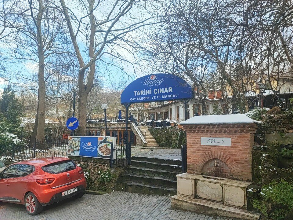 Restoran Tarihi Çınar, Bursa, foto
