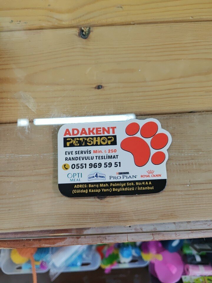 Petshop Ada Petshop, İstanbul, foto
