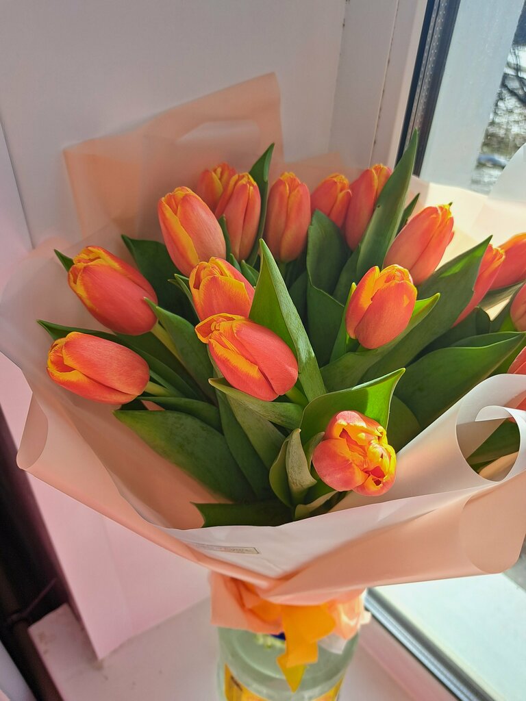 Çiçekçiler Цветы, Nijni Novgorod, foto