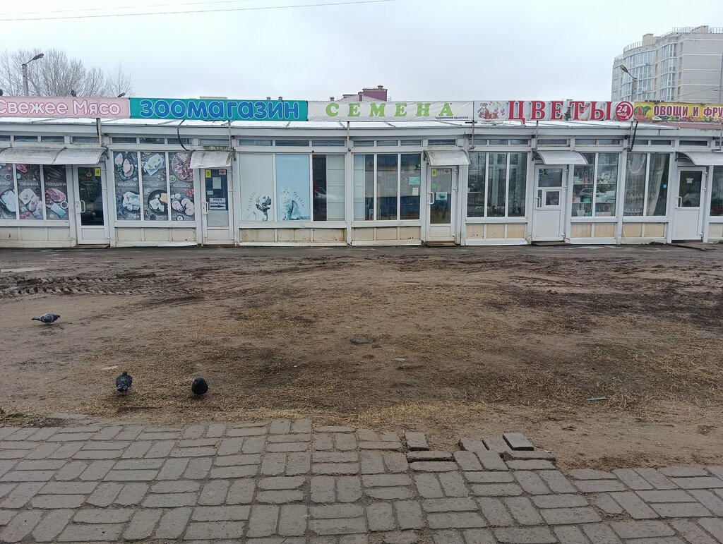 Gıda pazarı Farmers' market, Rybinsk, foto