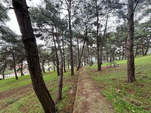 Karacabey Büyük Çamlık (Bursa, Karacabey, Esentepe Mah.), kültür ve eğlence parkları  Karacabey'den