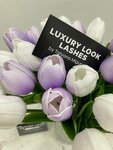 Luxury look lashes (Severnaya ulitsa No:7А, mikrorayon Vodniki), kaş ve kirpik salonu  Vologda'dan