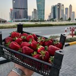 Клубника (Rostov Region, Aksayskiy rayon, Mishkinskoye selskoye poseleniye), tarım ürünleri firmaları  Rostovskaya oblastından