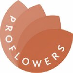 Proflowers (E-103 kóshesi No:7), çiçekçiler  Astana'dan