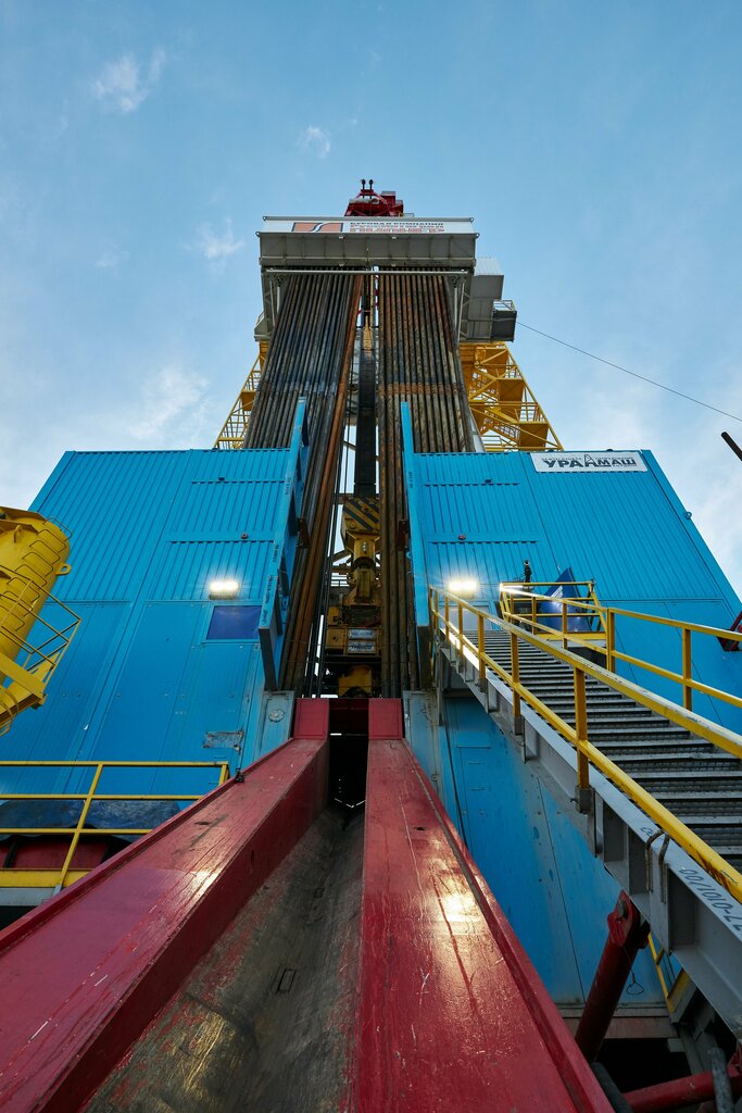 Sanayi ekipmanları firmaları РуссИнтеграл-Пионер, Radujny, foto