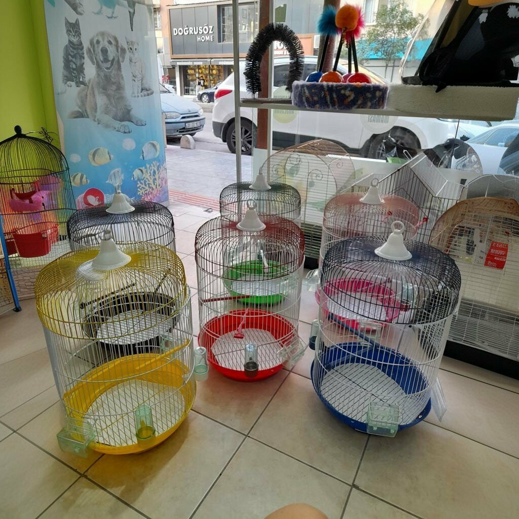 Petshop Mustafa İpek Petshop, İskenderun, foto