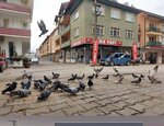 Alakra YPAl (Sakarya, Akyazı, Ömercikler Mah., 8014. Sok.), i̇nşaat firmaları  Akyazı'dan