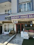 Balıkçı Reis Gazikent merkez Balıkçısı (Gaziantep, Şehitkamil, Şehit Serdal Şakır Cad., 17D), balık ve deniz ürünleri  Gaziantep'ten