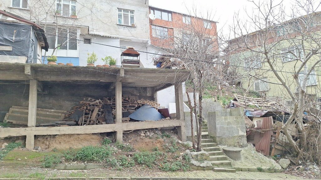 Danışmanlık hizmetleri Özgür Danışmanlık, İstanbul, foto