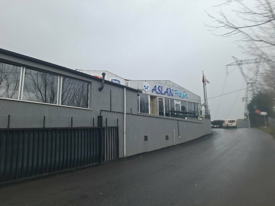 Lojistik firmaları Aslan Fresh, İstanbul, foto