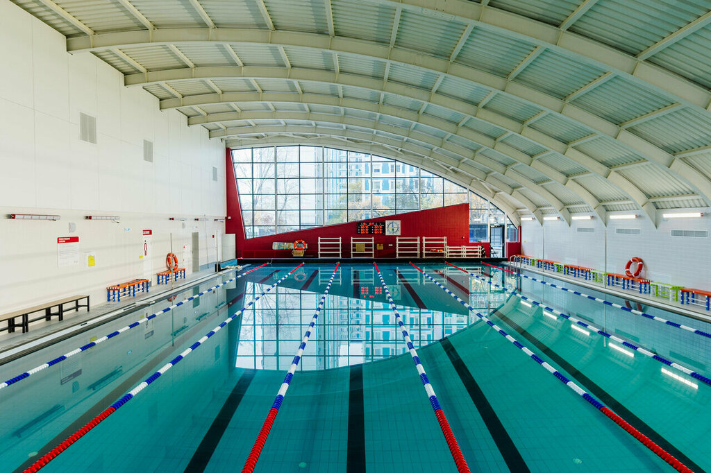 Yüzme okulu AquaDragons, Moskova, foto