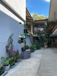 Гостевой дом Reno (Ardzinba Avenue No:214), otel  Gagra'dan
