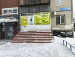 Беркут (Pobedy Avenue No:321), kurs  Çeliabinsk'ten