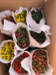 Fresh (ulitsa Bratyev Aysinykh No:78, village Balkashino), market  Akmola eyaletinden