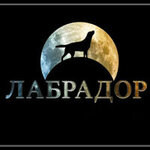 Labrador (2nd Moskovskaya Street No:6к4), dedektiflik büroları  Serpuhov'dan