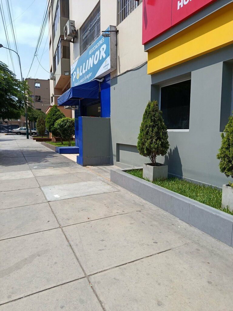 Market Pollinor, Lima, foto