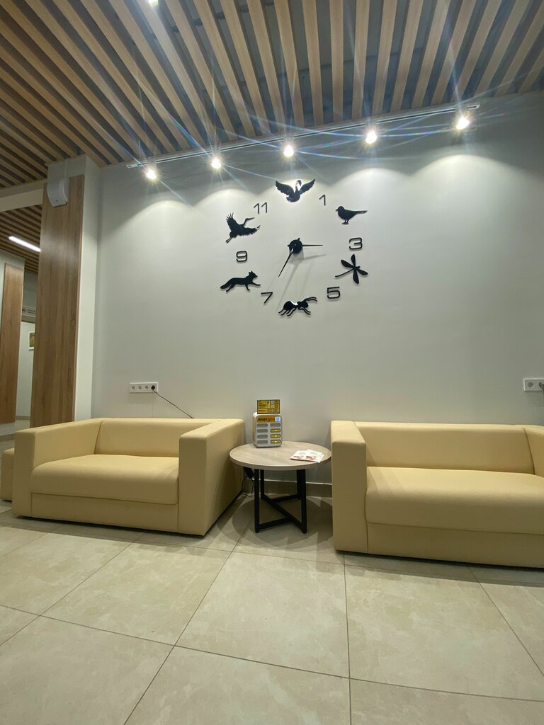 Şarj cihazı kiralama Energo, Moskova, foto