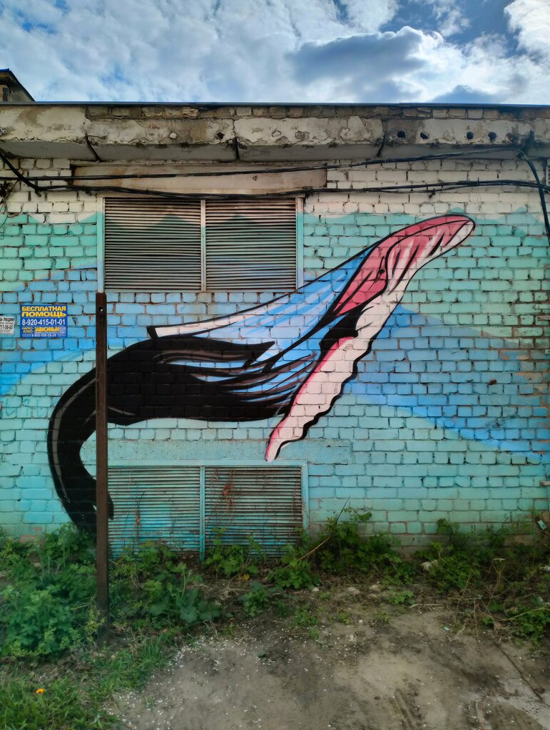 Sokak sanatı Граффити Киты, Voronej, foto