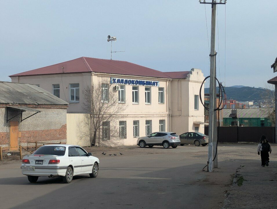 Dondurulmuş gıda firmaları Rybnaya produktsiya, Ulan‑Ude, foto