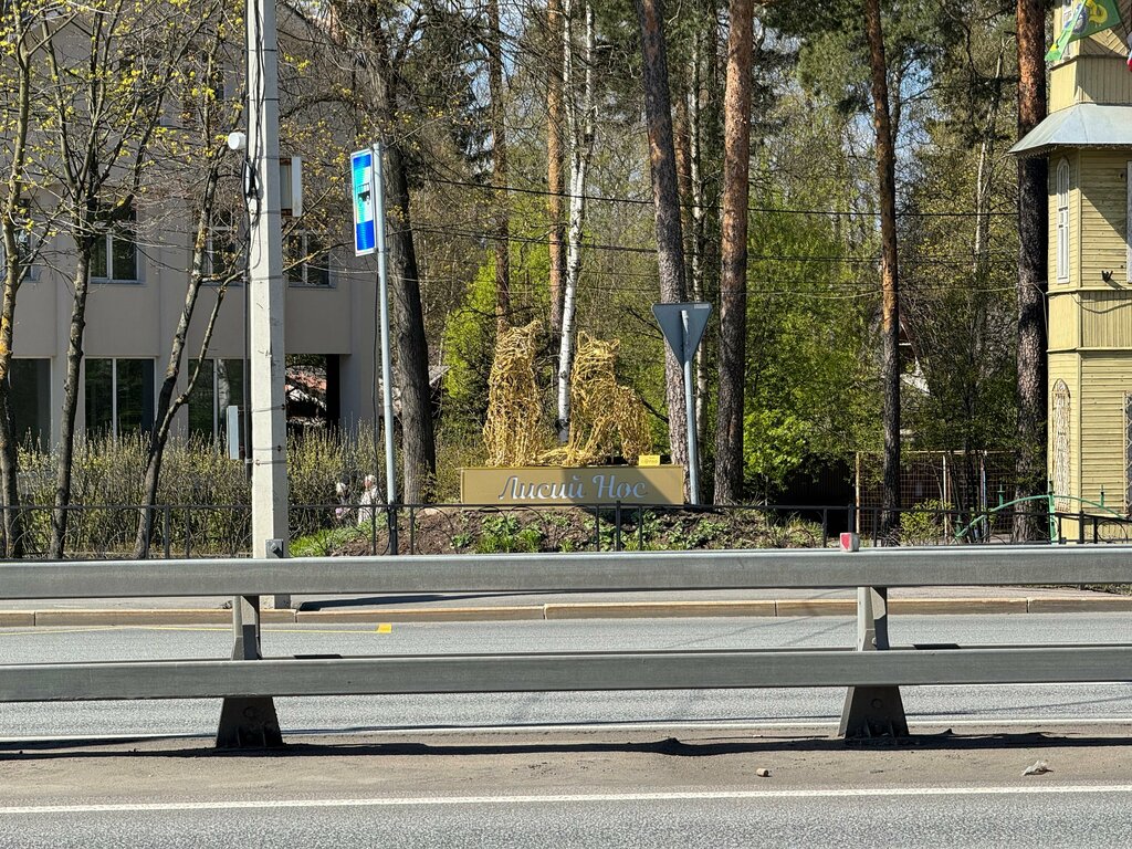 Belediyeler, devlet daireleri Mestnaya administratsiya munitsipalnogo obrazovaniya, poselok Lisy Nos, Saint‑Petersburg, foto