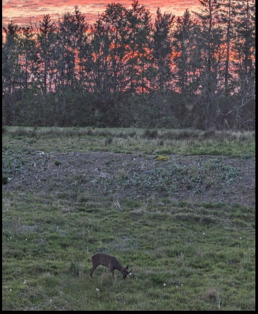 Yurtlar Heriot Watt University Student Accommodation Edinburgh, Edinburgh, foto