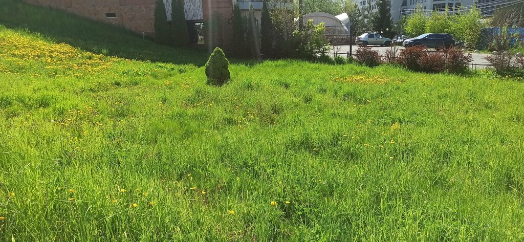 Meydan Солунский сквер, Saint‑Petersburg, foto