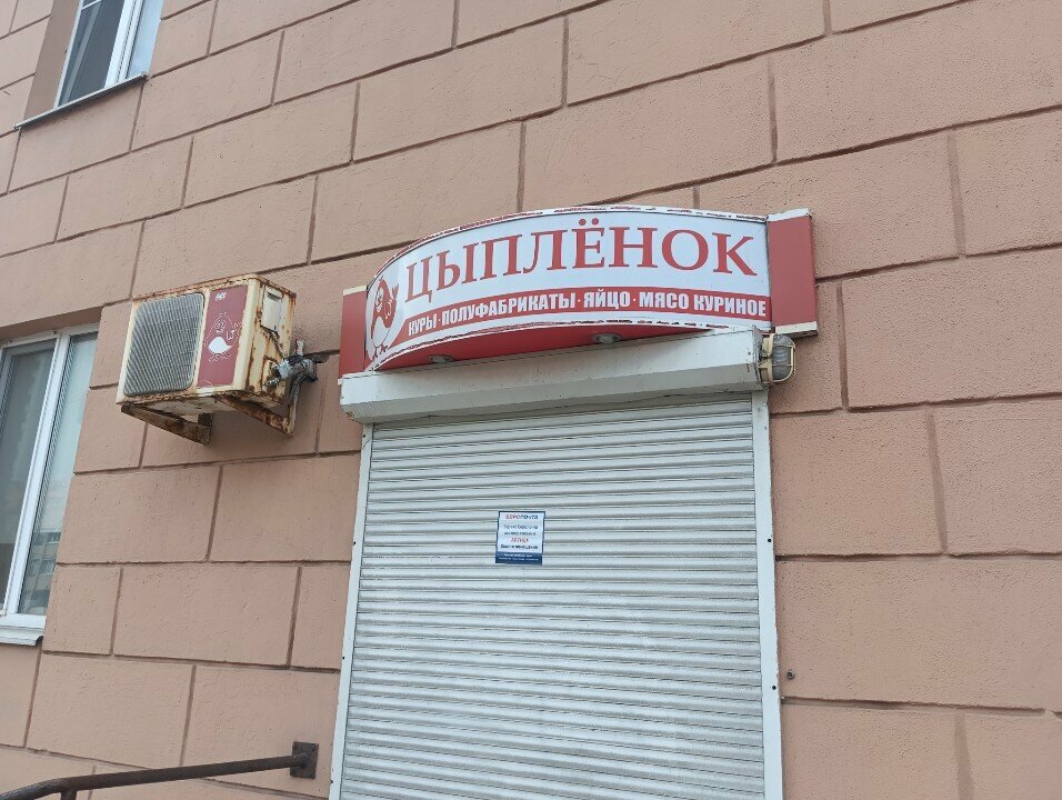 Kanatlı hayvan ürünleri ve yumurta Циплёнок, Minsk, foto