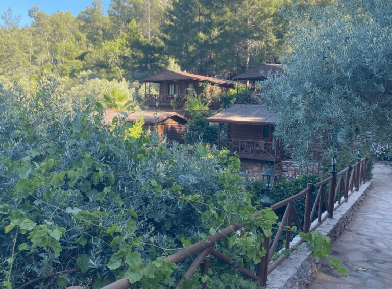 Kafe Blue Parrot, Menteşe, foto