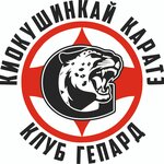 Gepard (Engelsa Avenue No:28), spor kulüpleri  Saint‑Petersburg'dan
