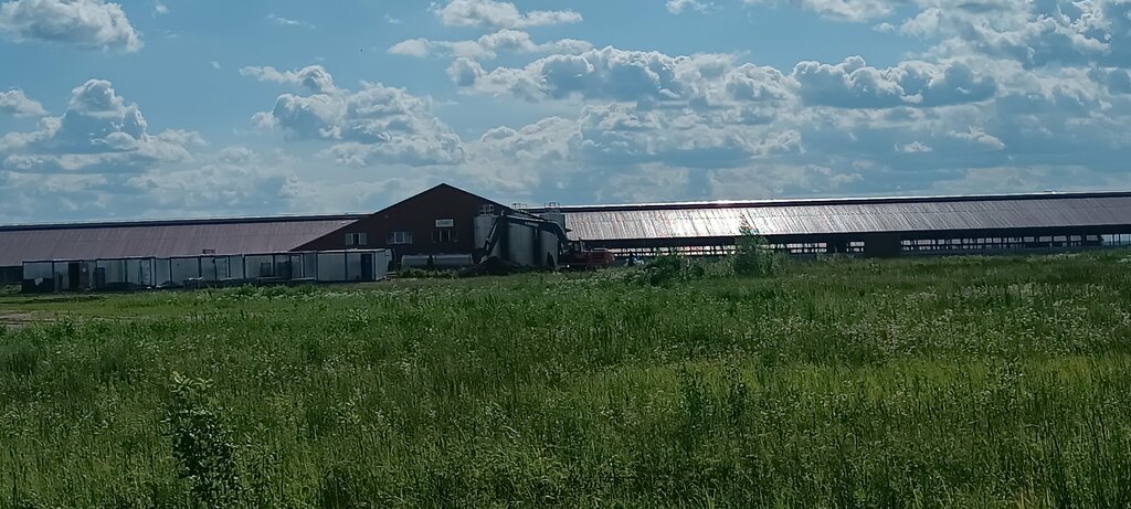 Hayvancılık Животноводческий комплекс Богданино, Kalujskaya oblastı, foto