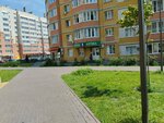 Apteka.ru (ulitsa Agapkina No:19А), teslimat noktası  Tambov'dan