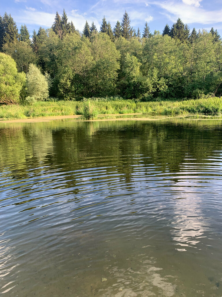 Plaj Beach, Moskova ve Moskovskaya oblastı, foto