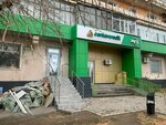 Золотая Корона (Metallwrgter Avenue No:8), para transferleri  Temirtav'dan