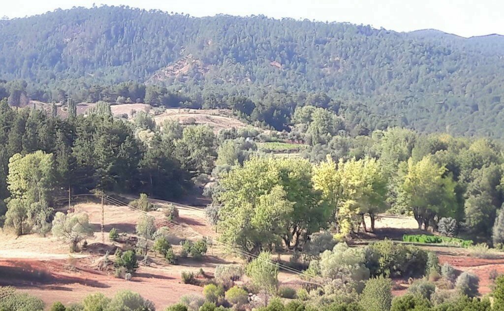 Muhtarlıklar Ilısılık Köy Muhtarlığı, Ilgaz, foto