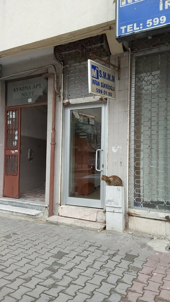 Danışmanlık hizmetleri Smmm İrfan Şükrüoğlu, İstanbul, foto