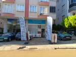 Ege perde halı Duvar kağıdı (İstanbul, Çekmeköy, Mehmet Akif Ersoy Cad., 7B), mefruşat  İstanbul'dan