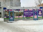 Цветы (Rzhevskaya ploshchad No:1Б), çiçekçiler  Saint‑Petersburg'dan