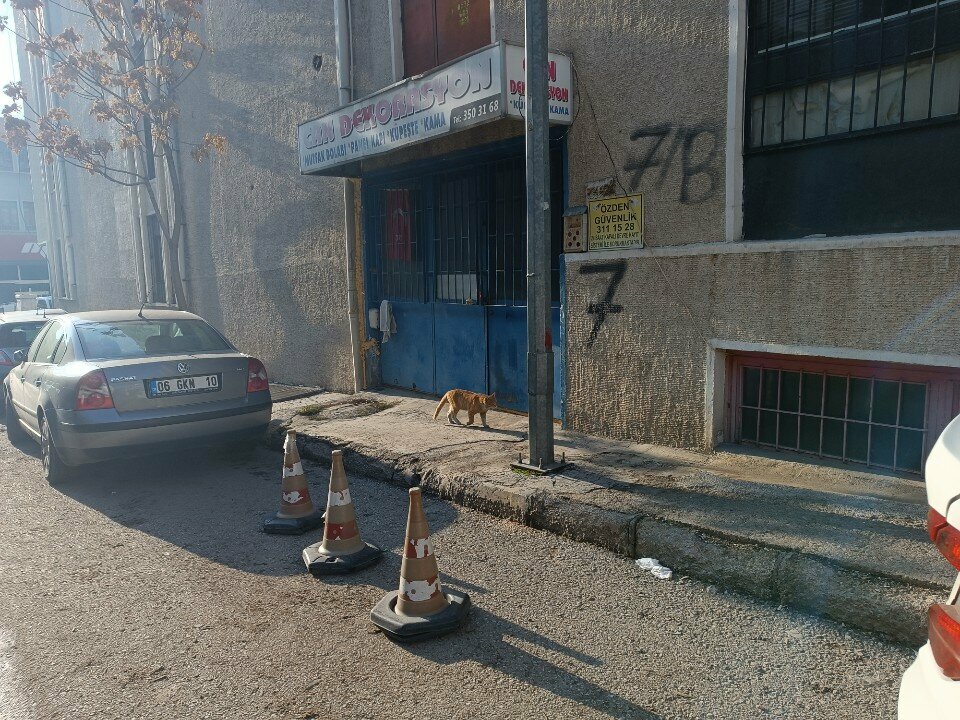 Kereste üretim ve satış şirketleri Can Doğrama Dekorasyon, Ankara, foto