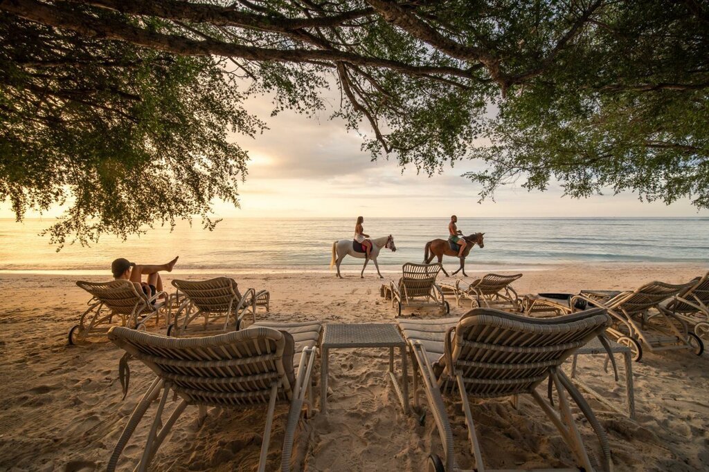 Otel Wilson's Retreat, , foto